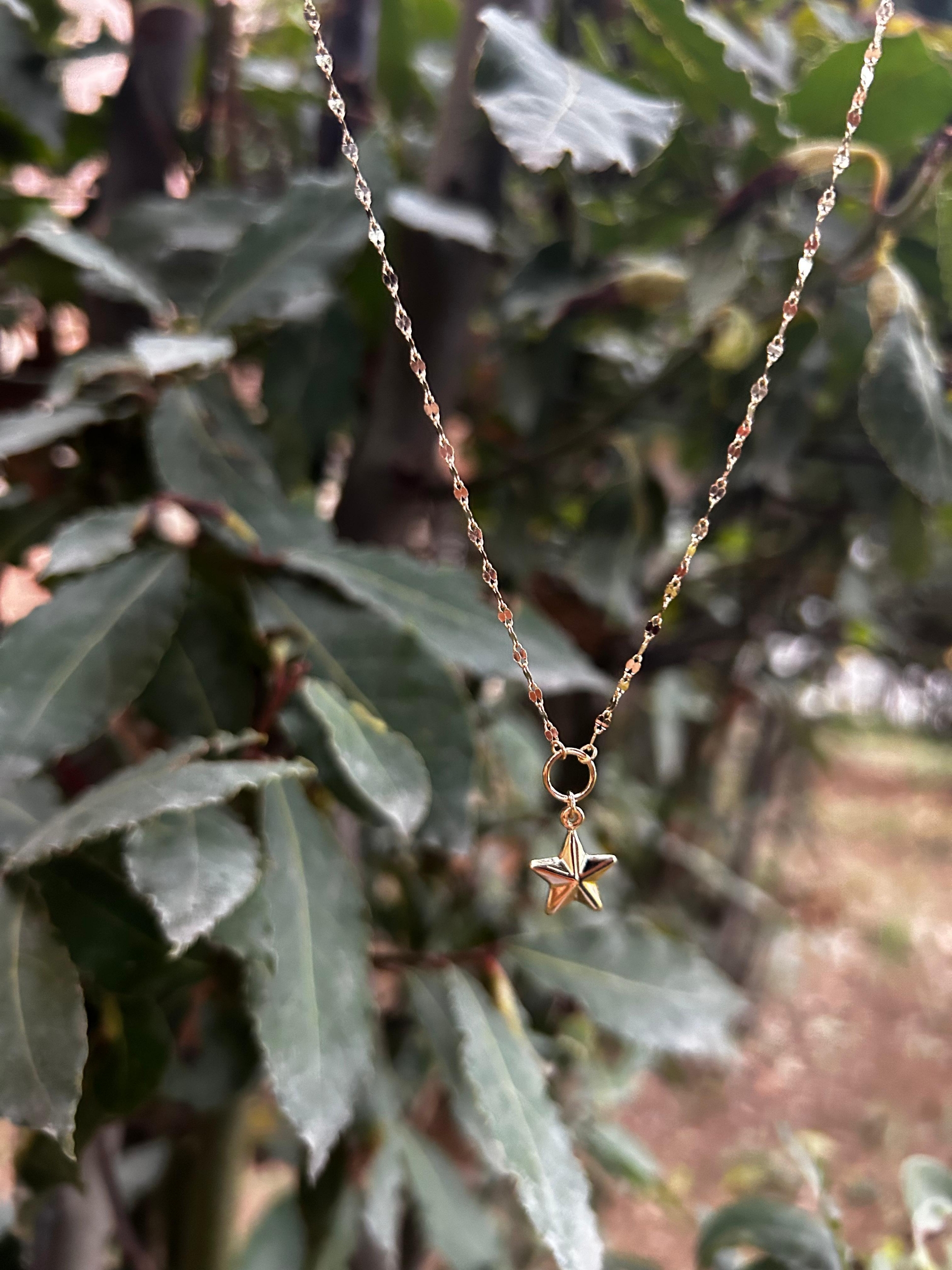 Kelebek Zincir Aynalı Yıldız Kolye | Goldium Jewellery